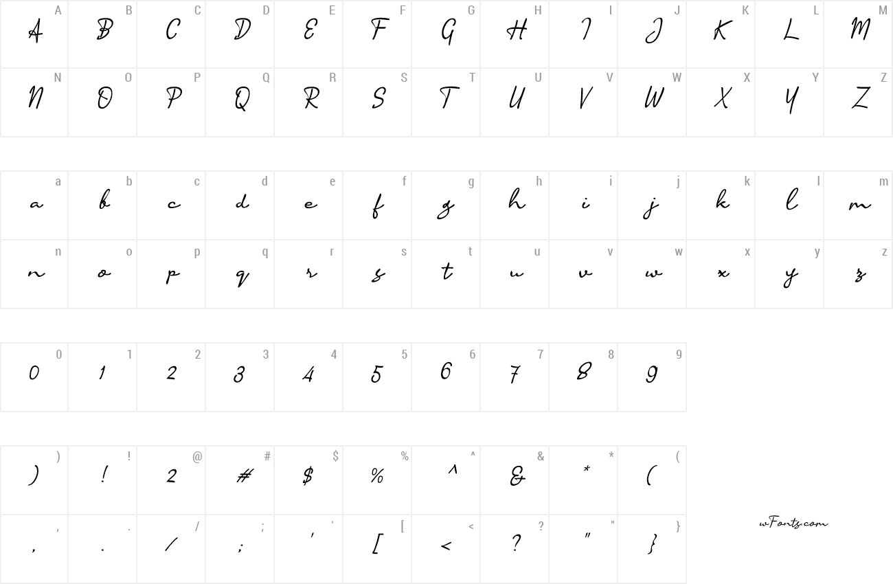 a Accountant Signature Font